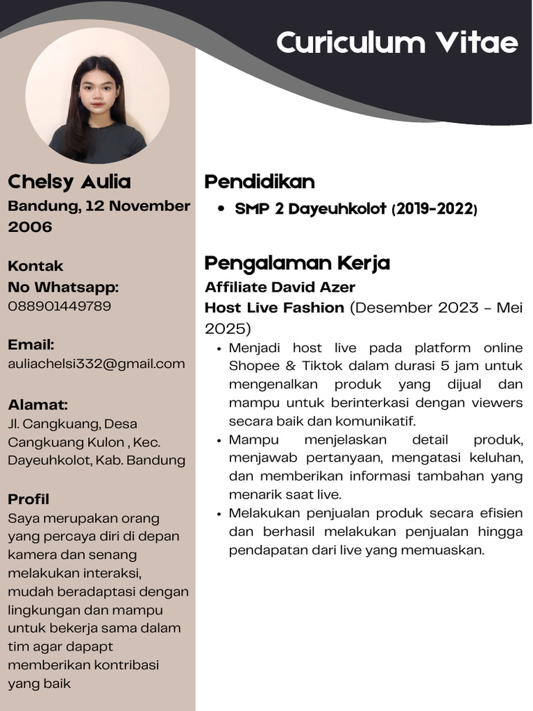 CV Chelsy Aulia | PDF