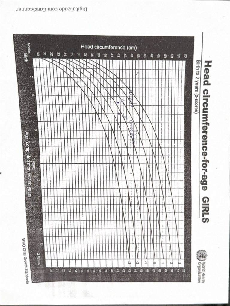 Head Circumference (CM) | PDF