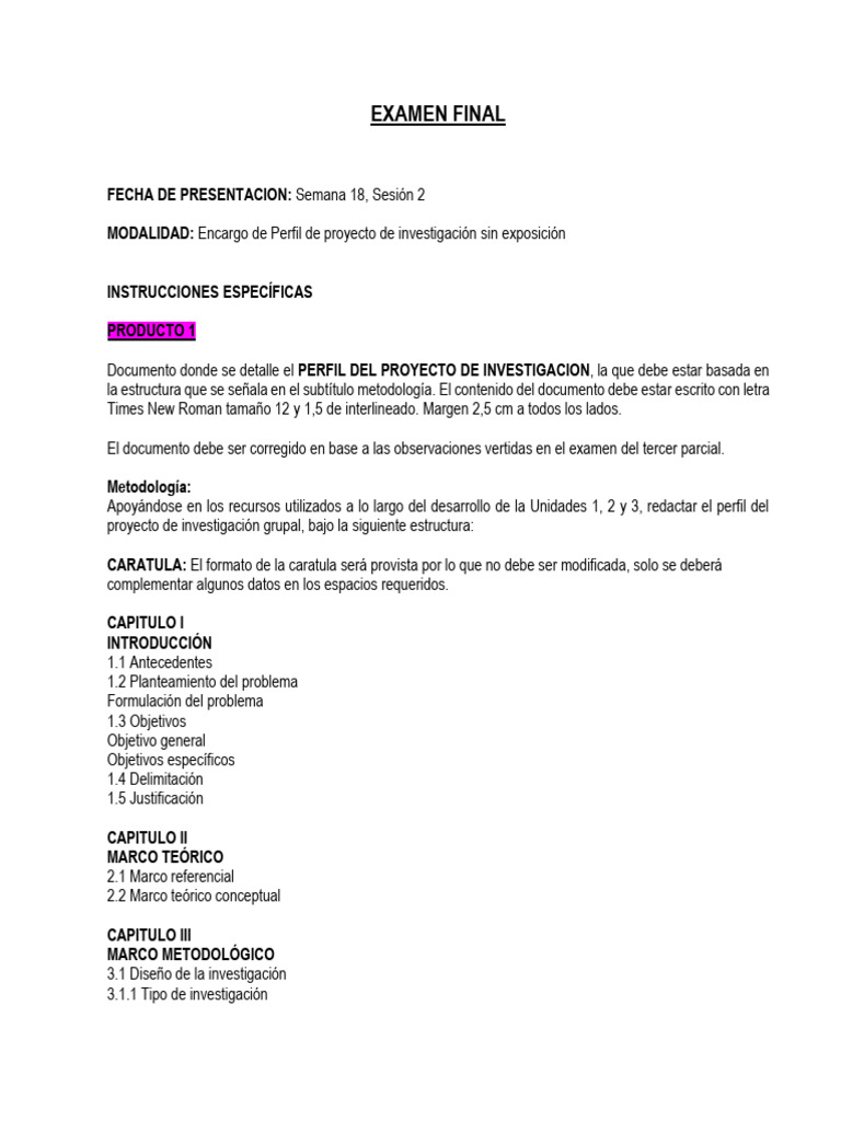 Examen Final - INV 100 - Instrucciones y Rubrica | PDF