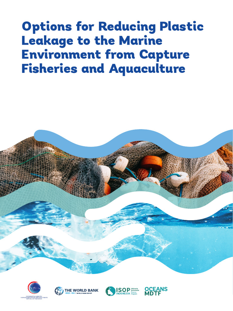 Options For Reducing Plastic Leakage To The Marine Environment From ...