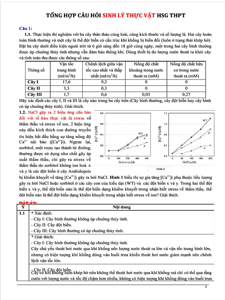 Tổng Hợp Câu Hỏi Tổng Hợp Câu Hỏi Sinh Lý Thực Vật Hsg Thpt Hsg Thpt | PDF