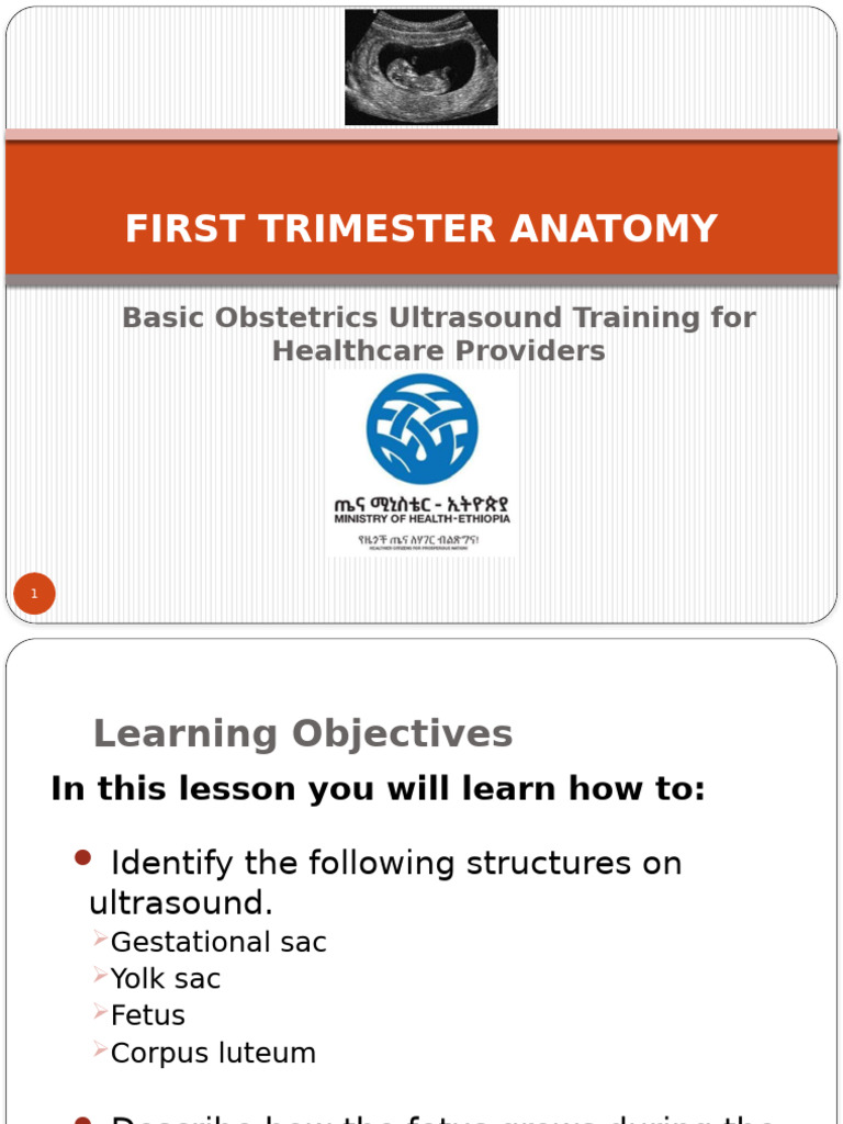 First Trimester Ultrasound Training Guide | PDF | Uterus | Pregnancy