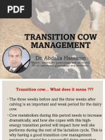 Dairy Cattle Ration Formulation Guide | PDF | Dairy Cattle | Dairy Farming