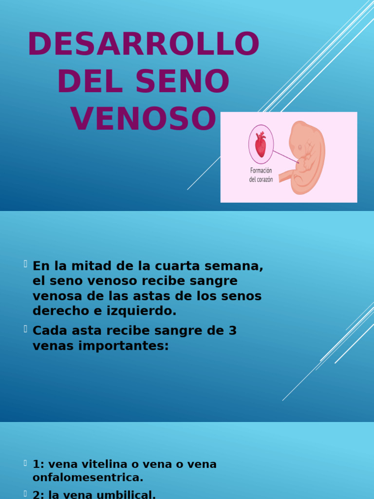 Desarrollo del Seno Venoso en Embriología | PDF