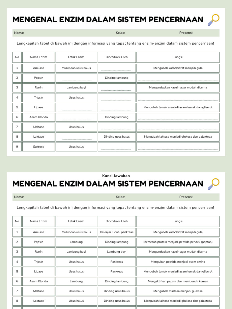 Tabel Enzim Pencernaan dan Fungsinya | PDF