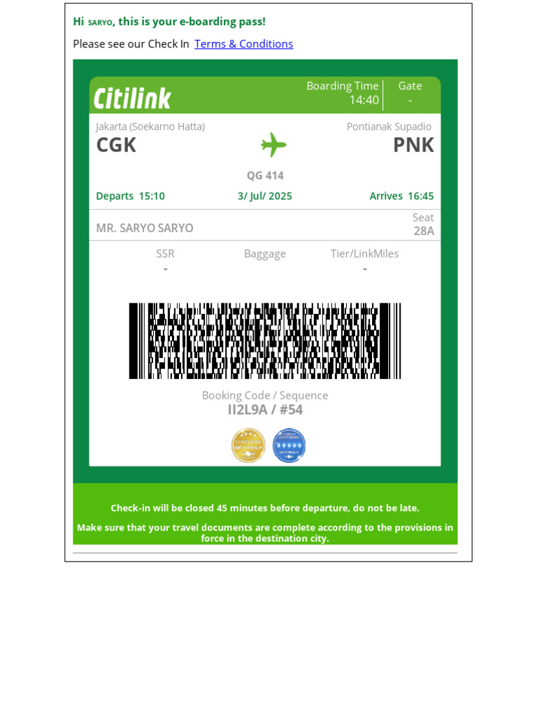 Boarding Pass | PDF
