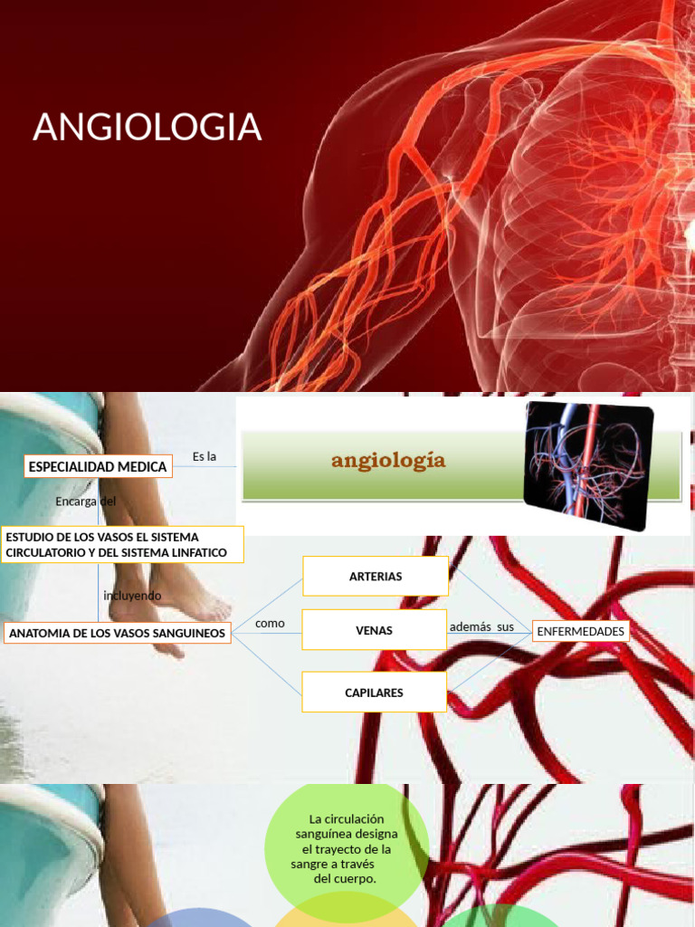 ANGIOLOGIA | PDF | Sistema circulatorio | Artería