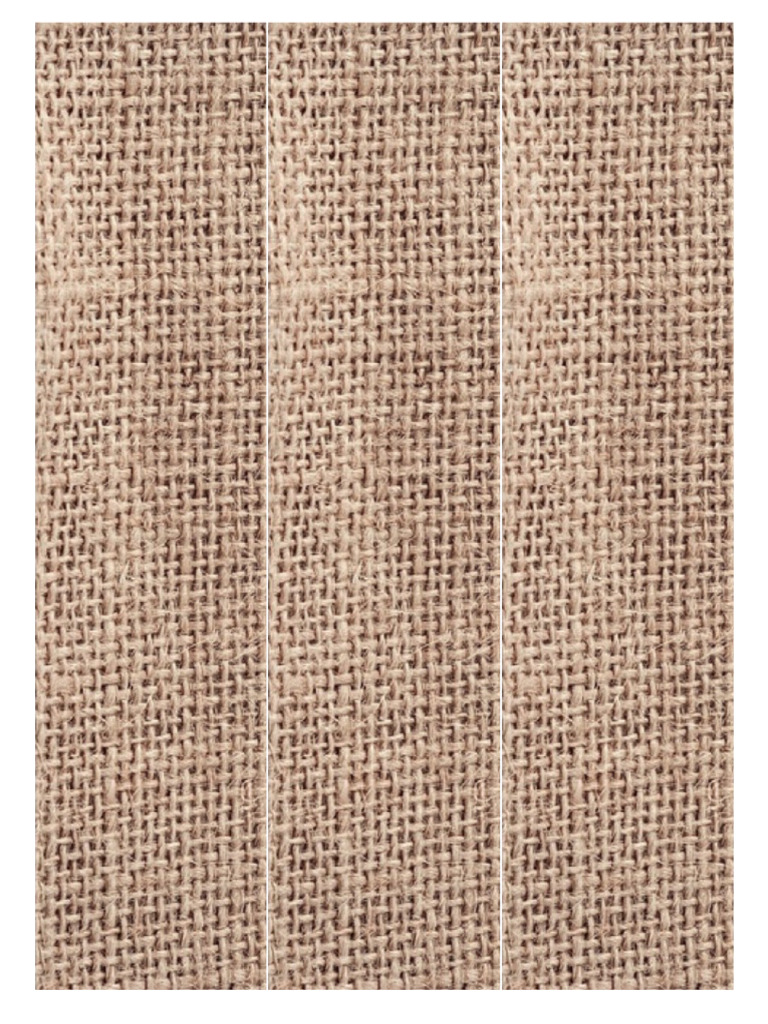 Bulletin Board Border | PDF