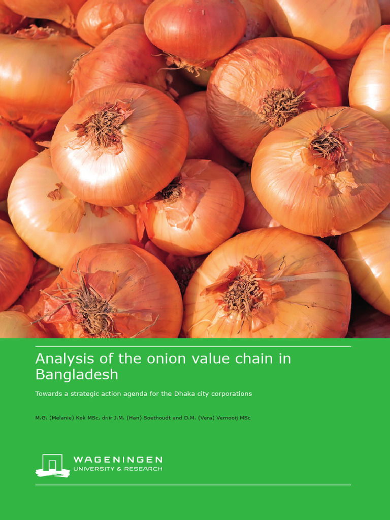 Final Report 2214 Analysis of The Onion Value Chain in Bangladesh | PDF ...