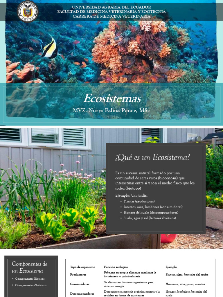 Clase 4 - Ecología Animal-1 | PDF | Ecosistema | Suelo