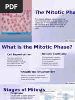 Mitosis in Human Skin Cells Study | PDF | Mitosis | Cell Biology