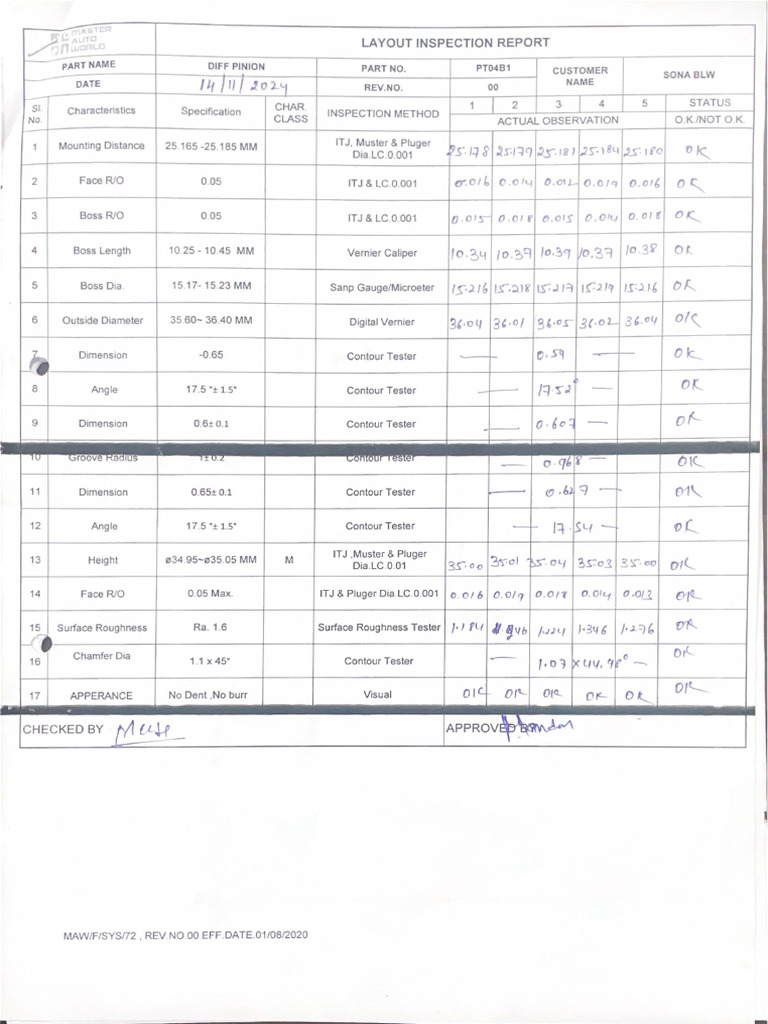 Layout Inspection Report Nov.2024 | PDF
