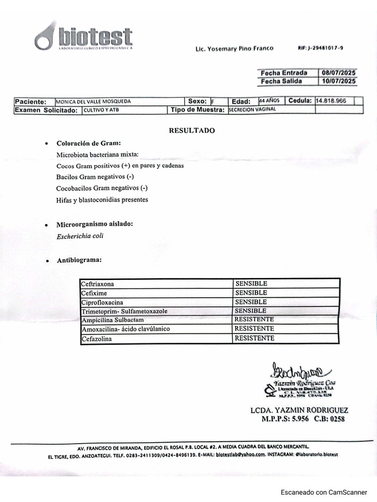 Cultivo Mónica Mosqueda | PDF
