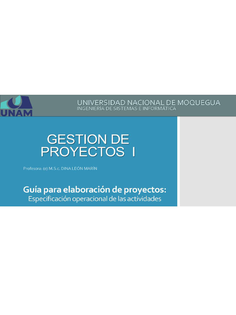 SEM 13 Gestion de Proyectos | PDF