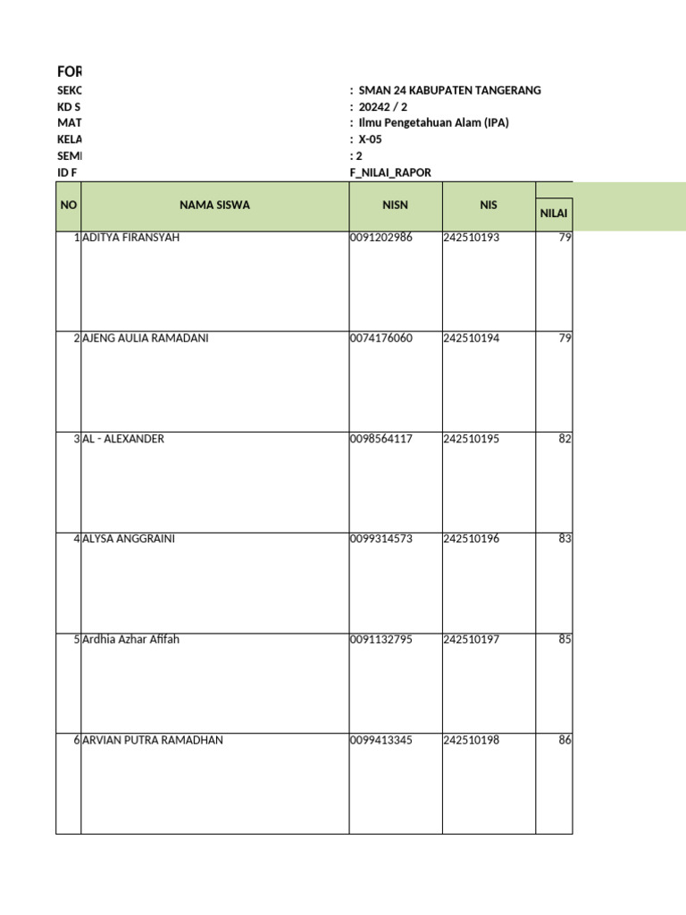 Nil - Rapor - 20242 - 401100000 - X-05 | PDF