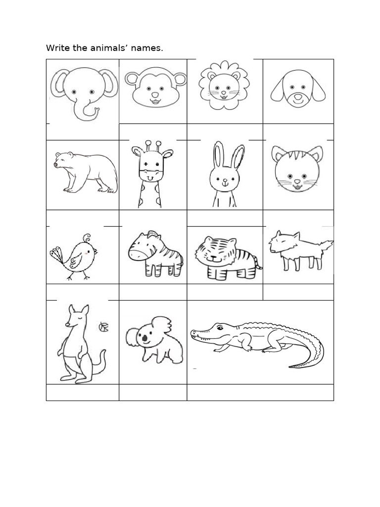 Animals Year 1 | PDF