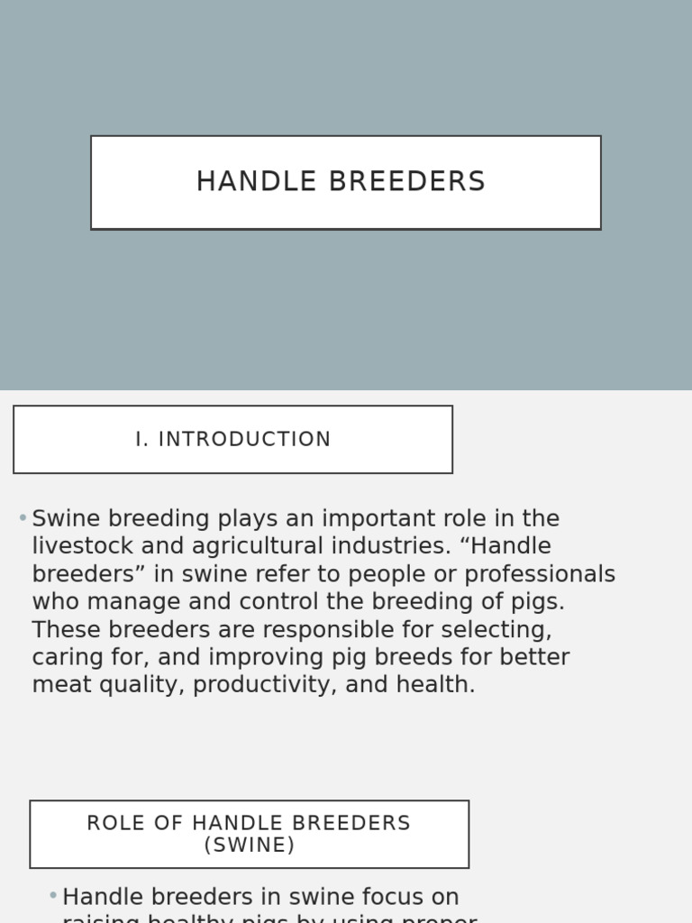Handle Breeders Swine | PDF