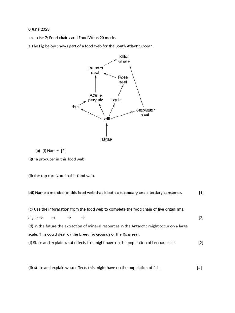 Exercise 7 - Food Chains and Food Webs | PDF