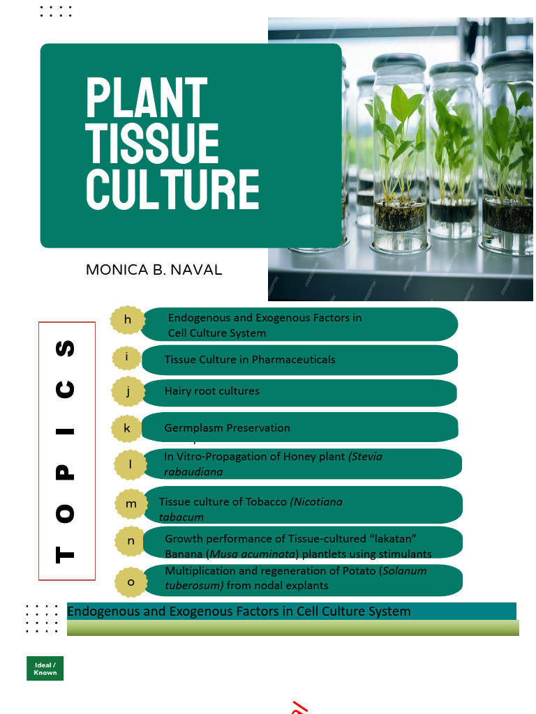 Plant Tissue Culture - Mbnaval | PDF | Botany | Developmental Biology