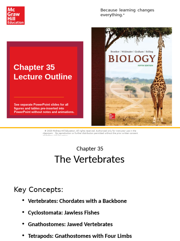 Overview of Vertebrate Evolution | PDF | Fish | Vertebrates