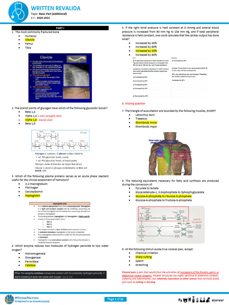 Basic Medical Knowledge Revalidation Exam | PDF | Muscle Contraction ...