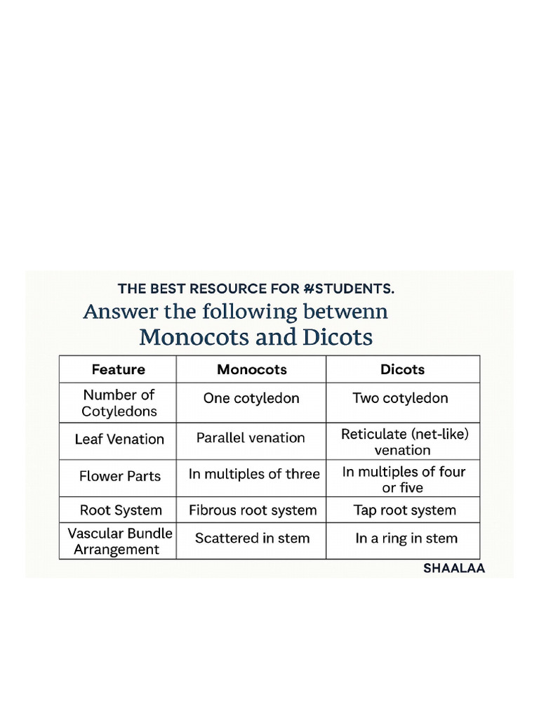 Plant Classification Overview | PDF