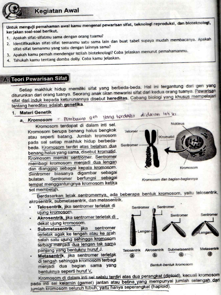 Ilovepdf Merged | PDF