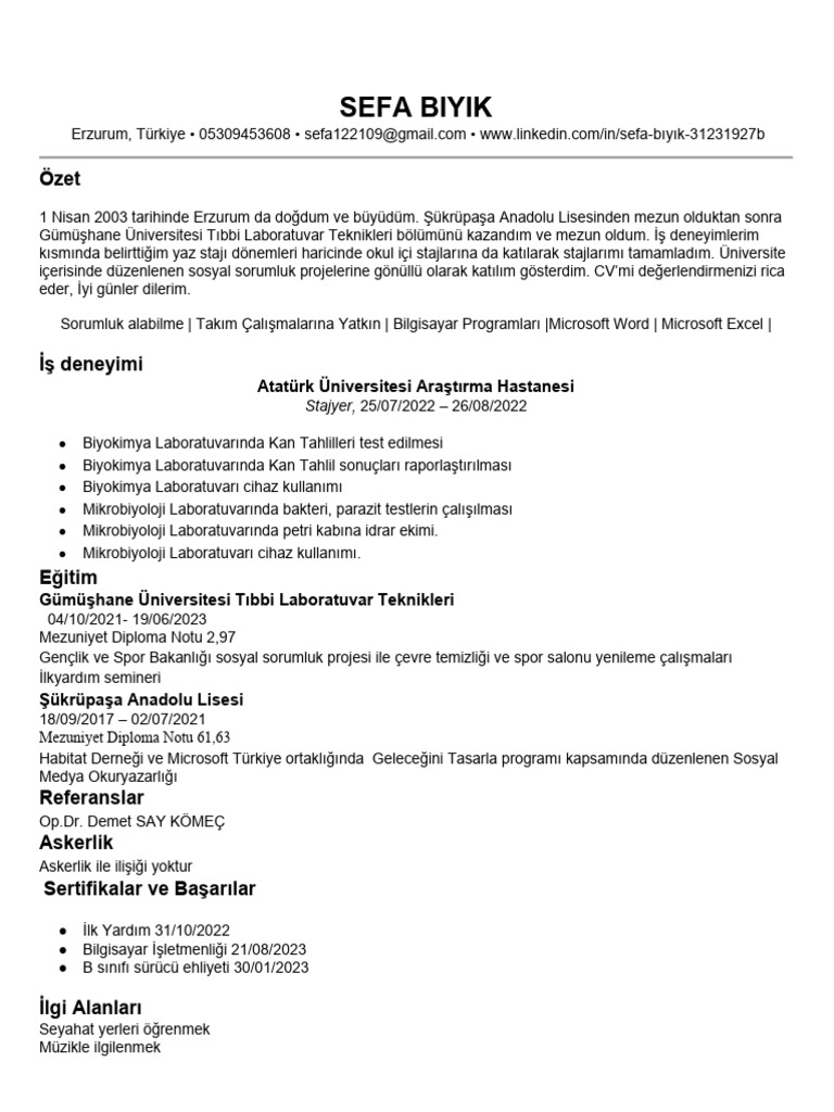 Sefa Biyik - Öz Geçmi̇ş b1 | PDF