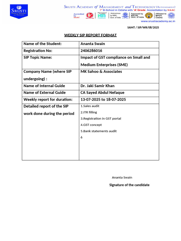 Sip Weekly Report | PDF