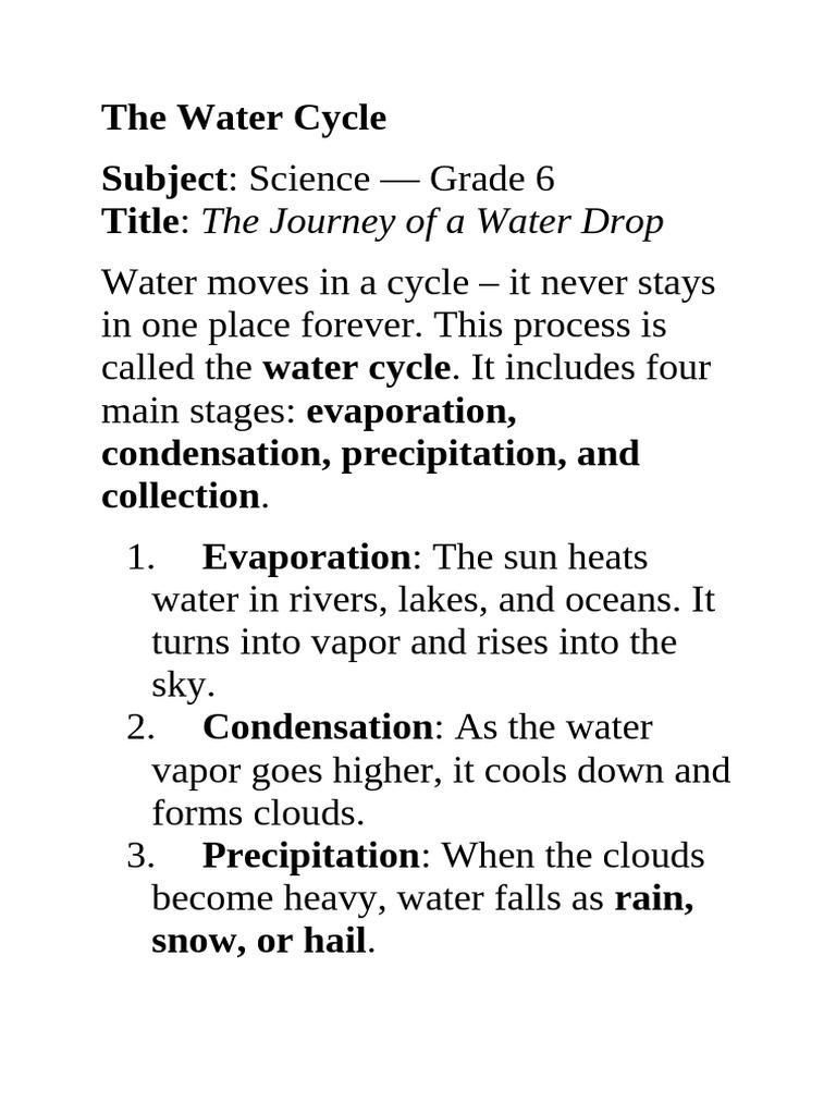 The Water Cycle | PDF