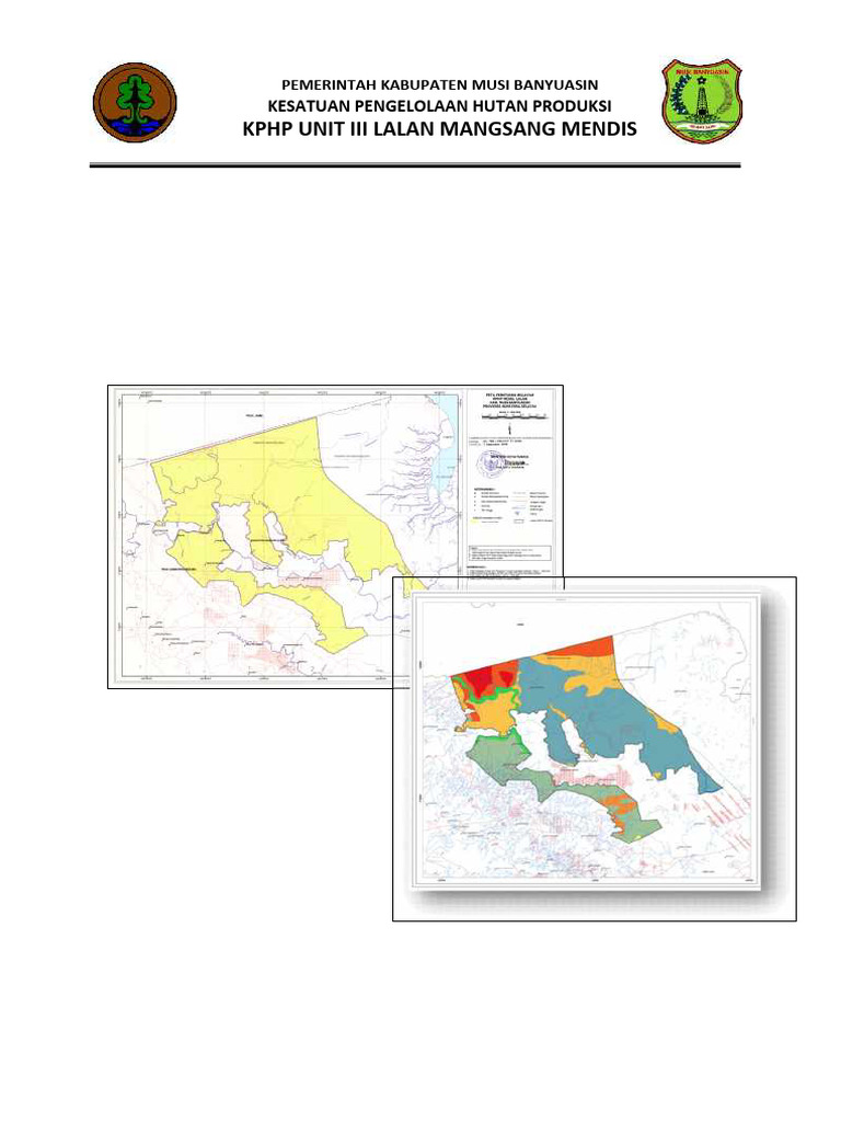 Rencana Pengelolaan Hutan KPHP Lalan | PDF