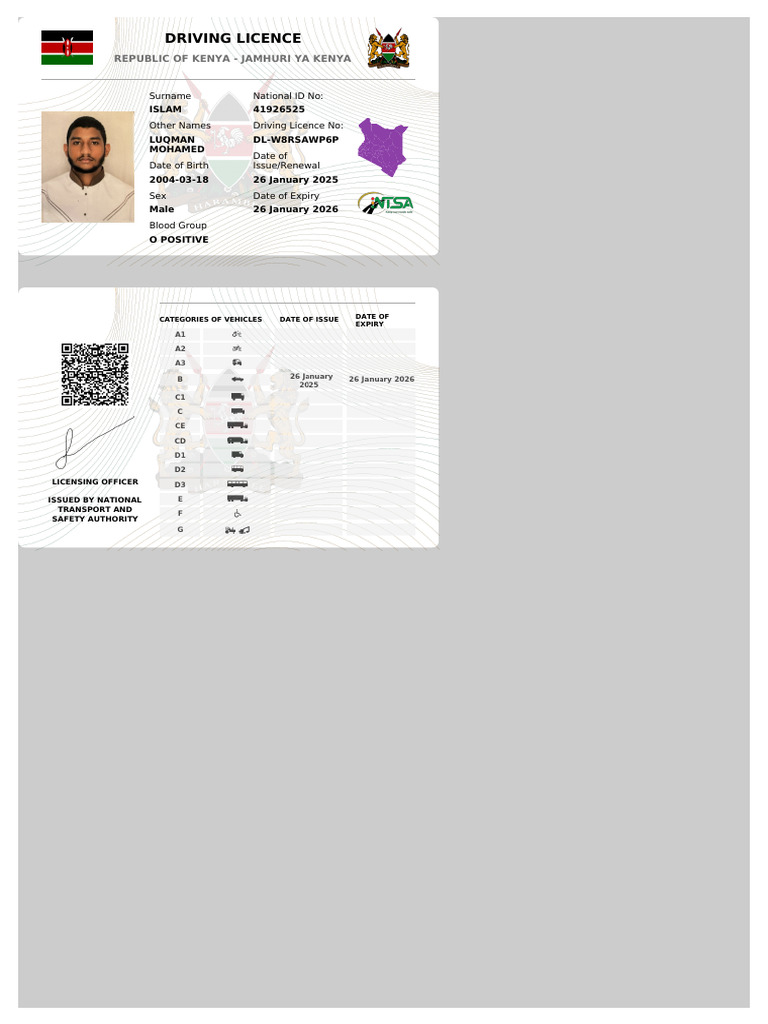 Electronic Driving License | PDF