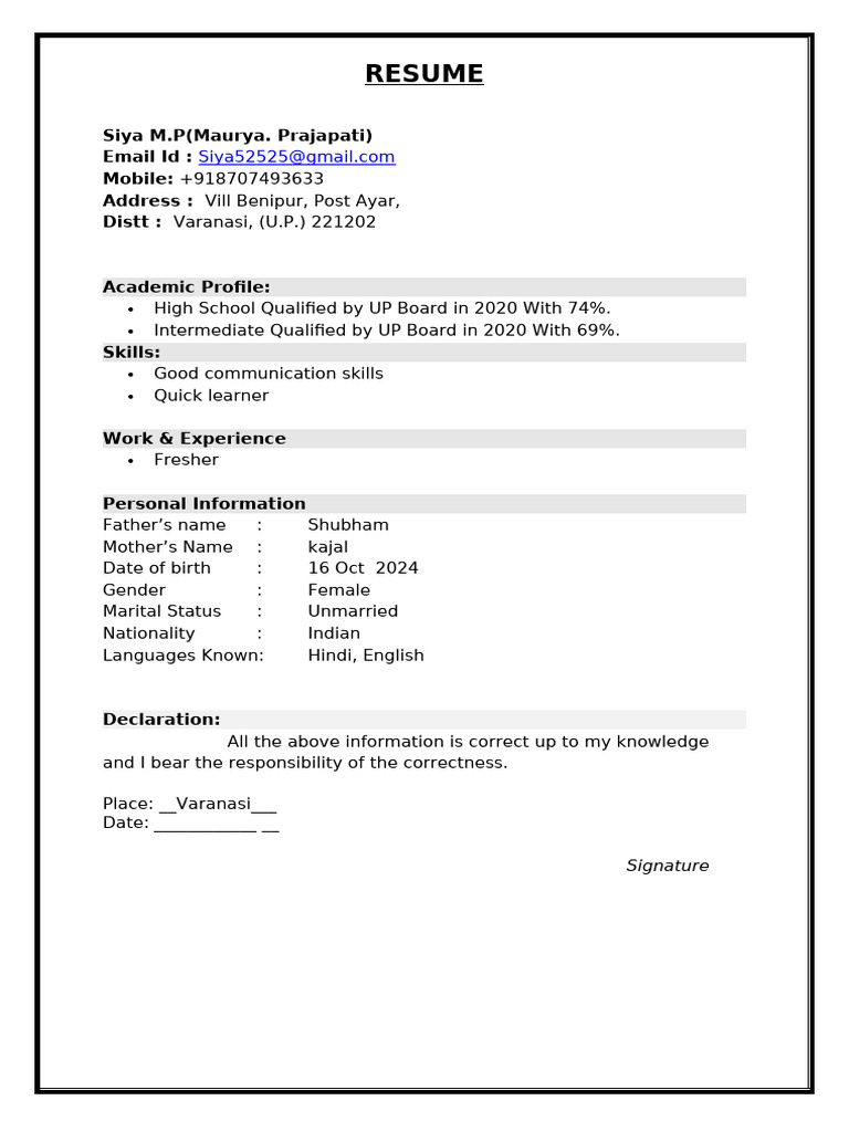 Simple Fresher Resume Format 5 | PDF
