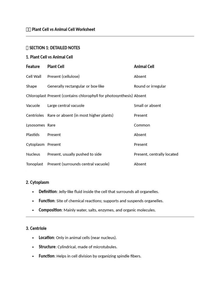 ?? Plant Cell Vs Animal Cell Worksheet | PDF | Cell (Biology) | Cytoplasm