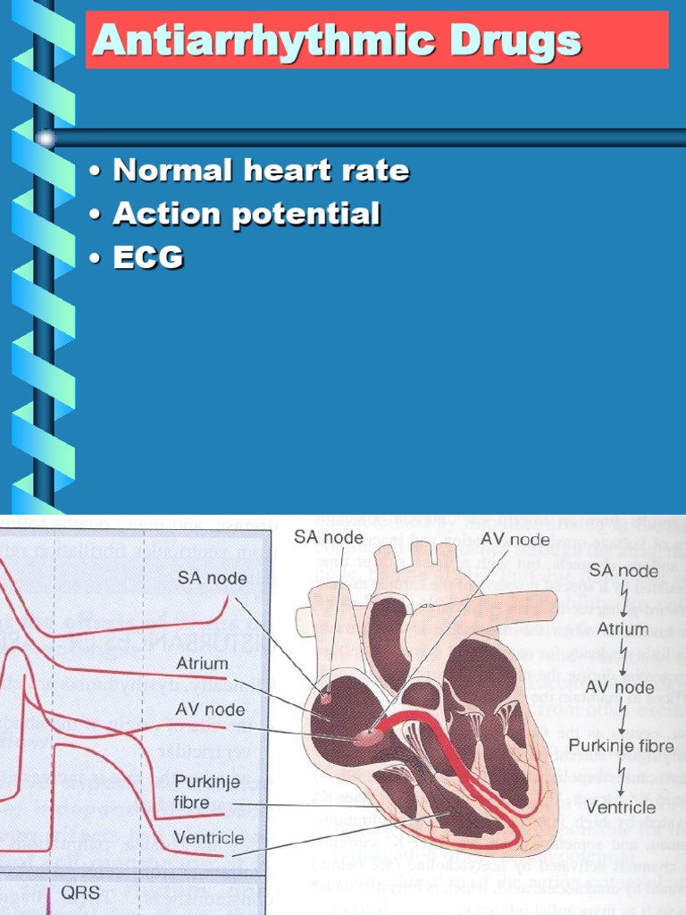 Antiarrhythmic Drugs | Cardiac Arrhythmia | Heart