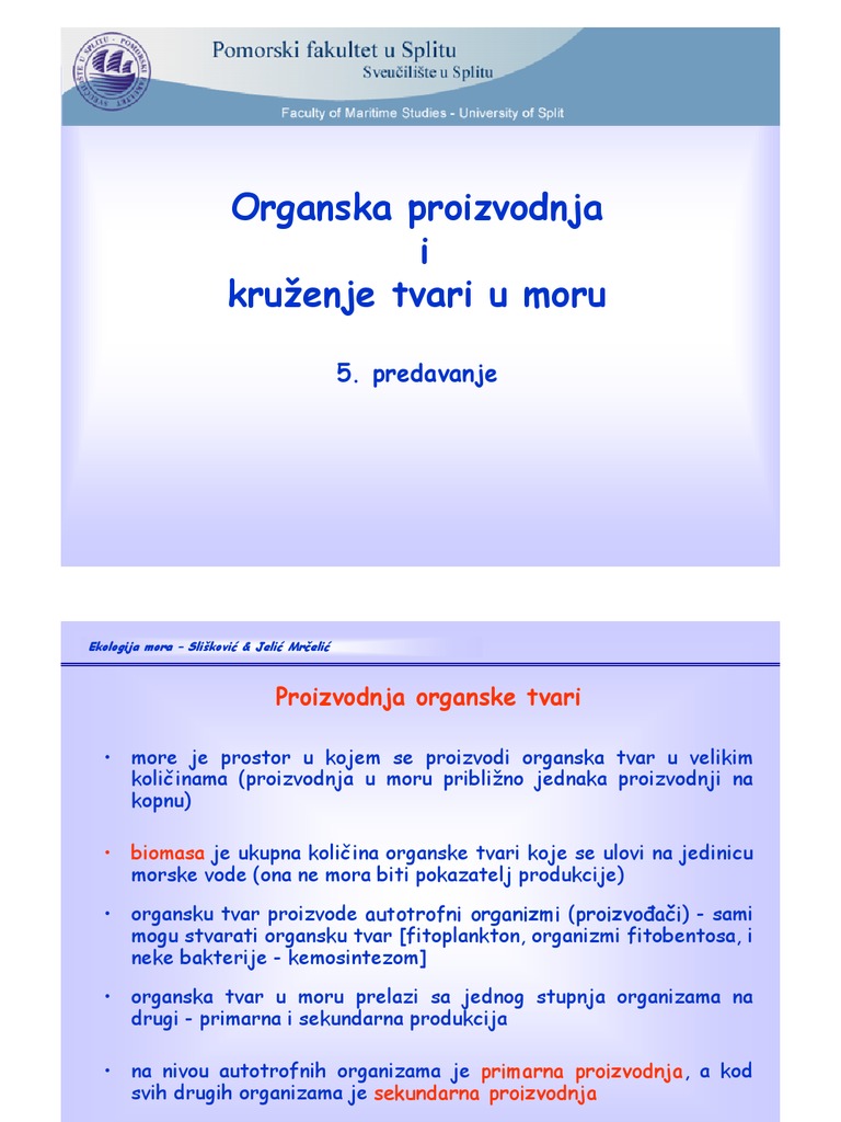 5.kruzenje Tvari I Organska Proizvodnja U Moru | PDF