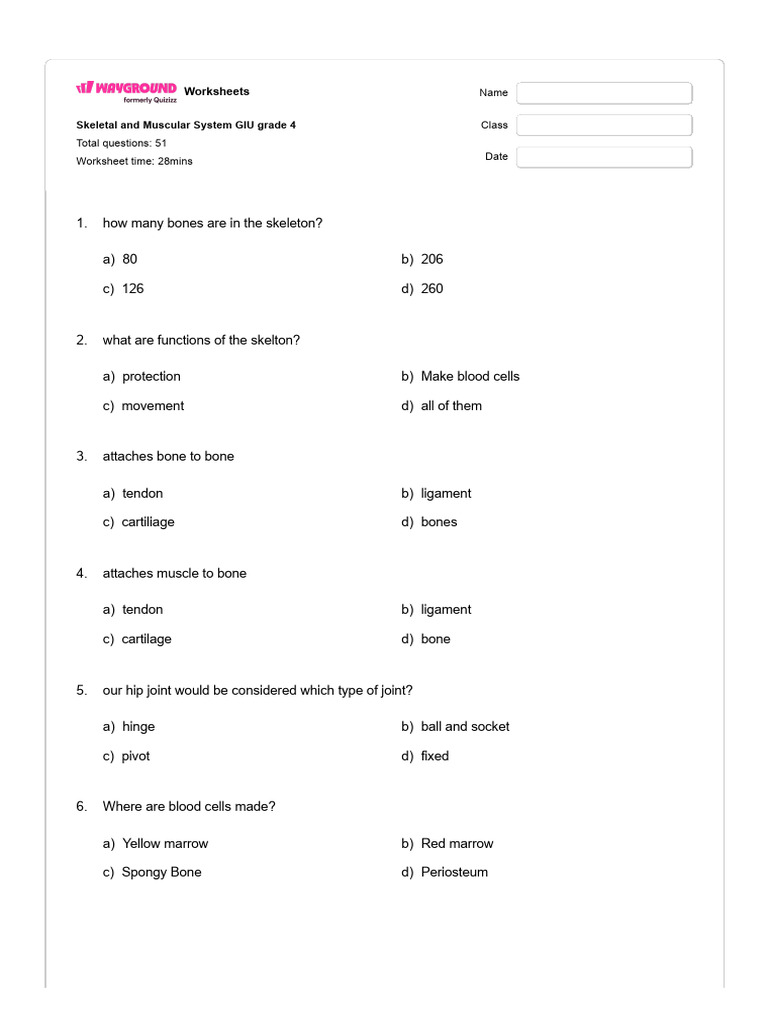 Grade 4 Skeletal and Muscular Worksheets | PDF | Muscle | Bone