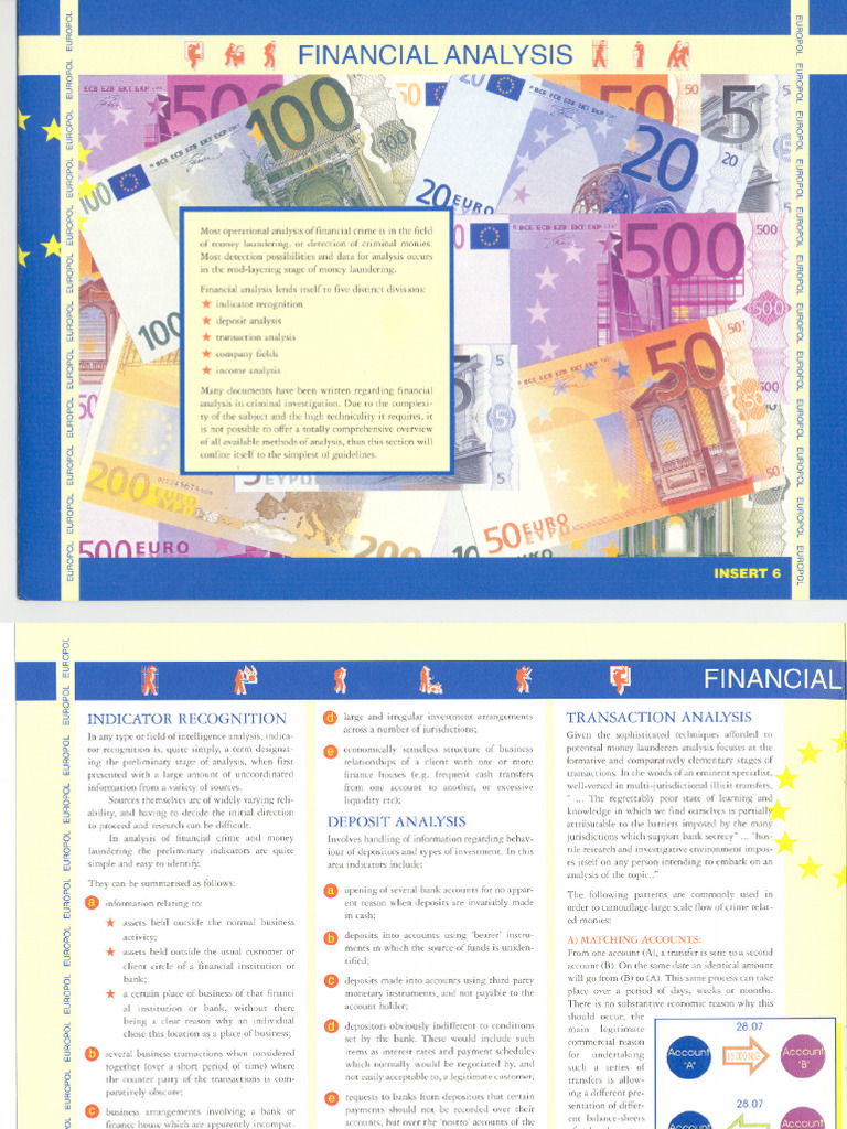 5 Financial Analysis | PDF