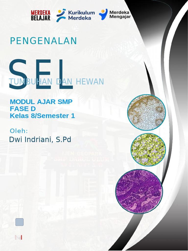 Modul Ajar IPA Kelas 8 | PDF