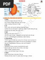 Common Ophthalmic Terminology Glossary | PDF | Eye | Human Eye