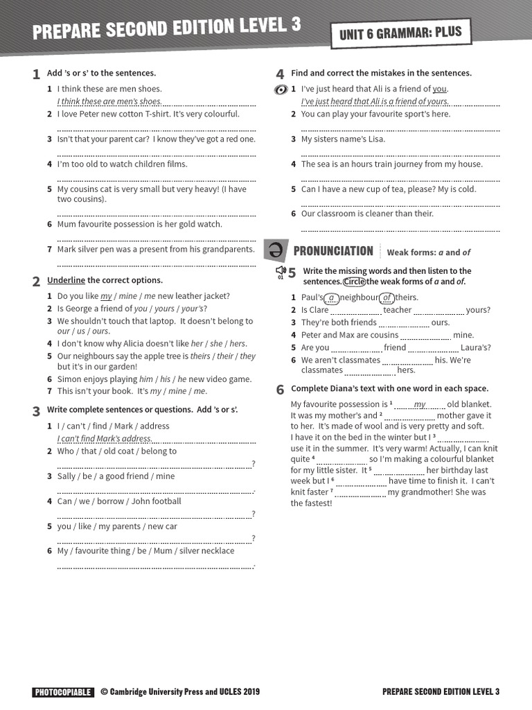 Grammar Exercises for Level 3 Students | PDF