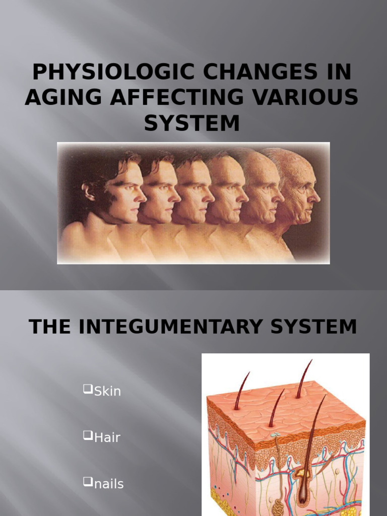 Physiologic Changes in Aging Affecting Various System | PDF | Skin | Heart