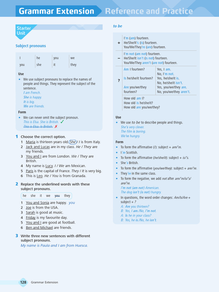 Grammar Extension | PDF | Plural | Noun