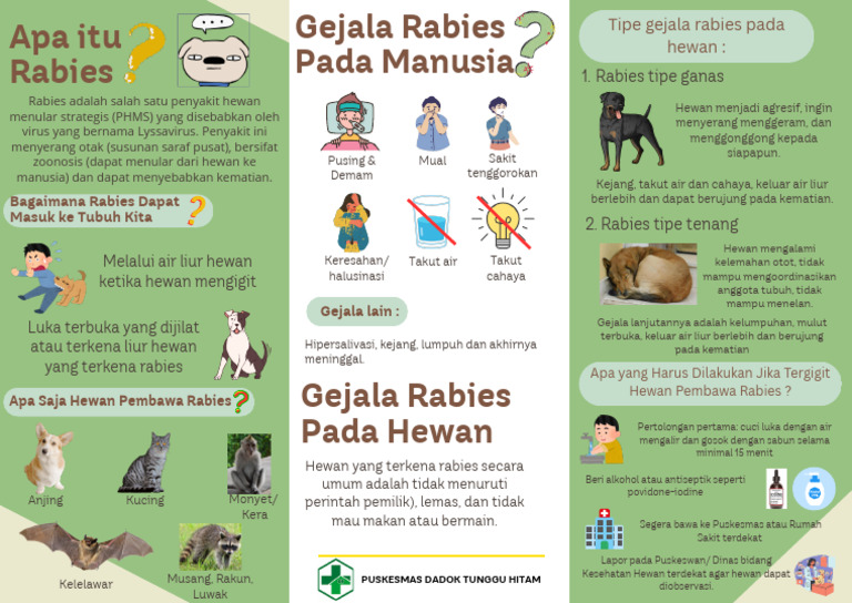 Brosur Rabies | PDF