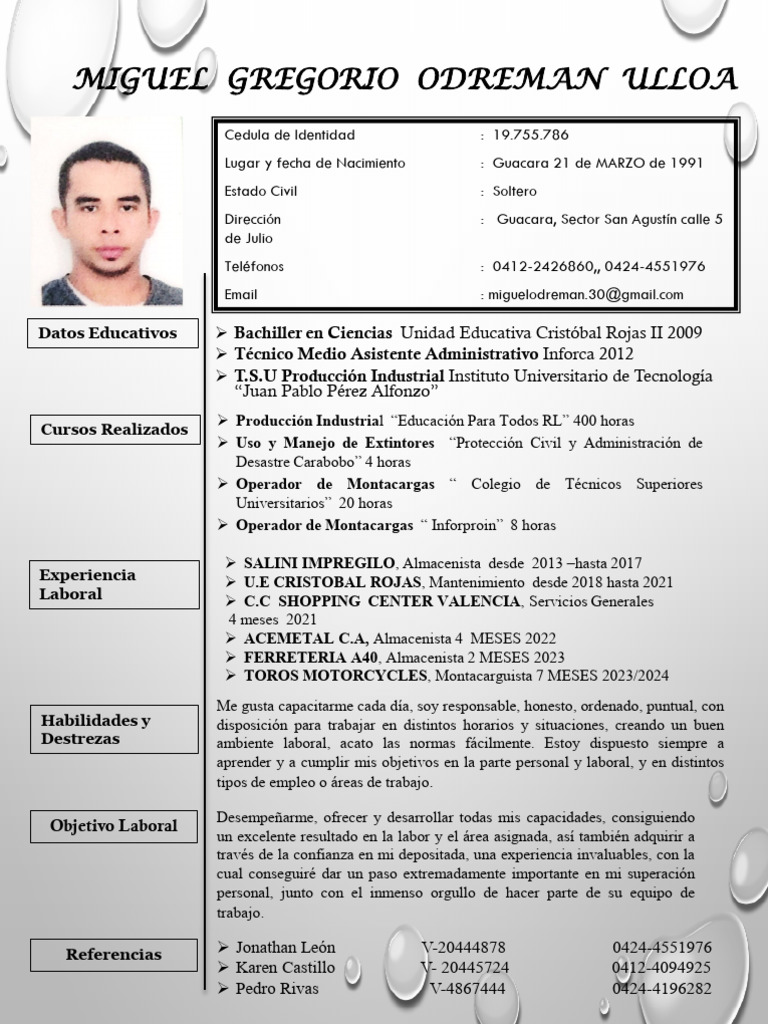 Curriculum Miguel | PDF