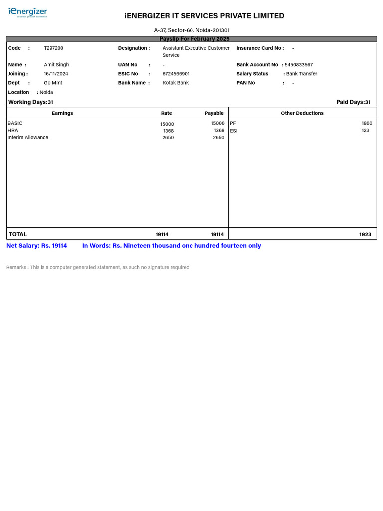 iEnergizer February 2025 Payslip | PDF