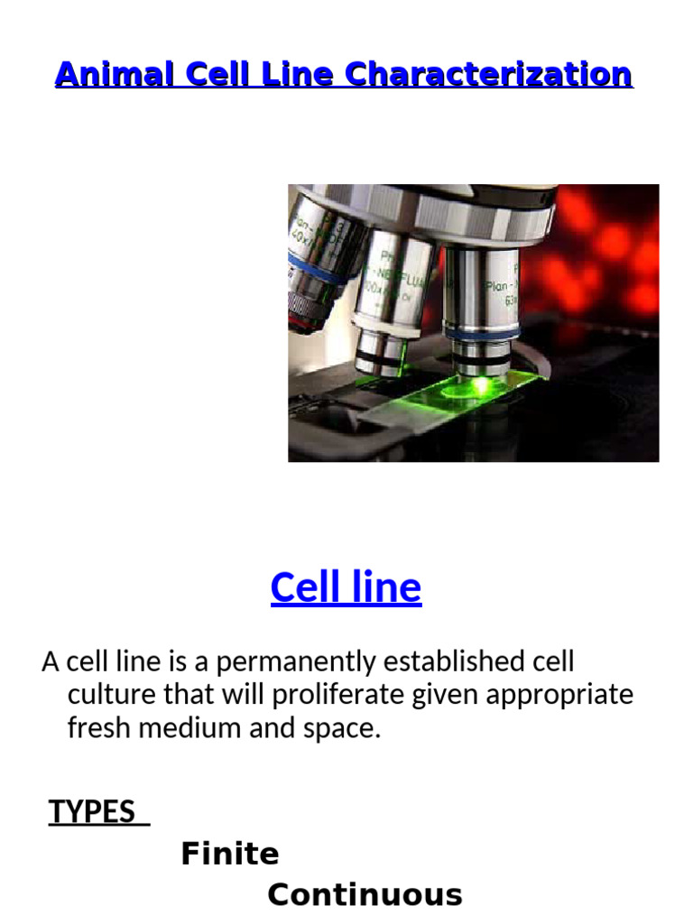 Cell Line Characterization Methods | PDF | Cell Culture | Staining
