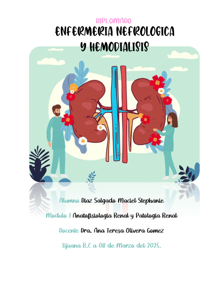 Tarea 1 Modulo 1 2 | PDF | Riñón
