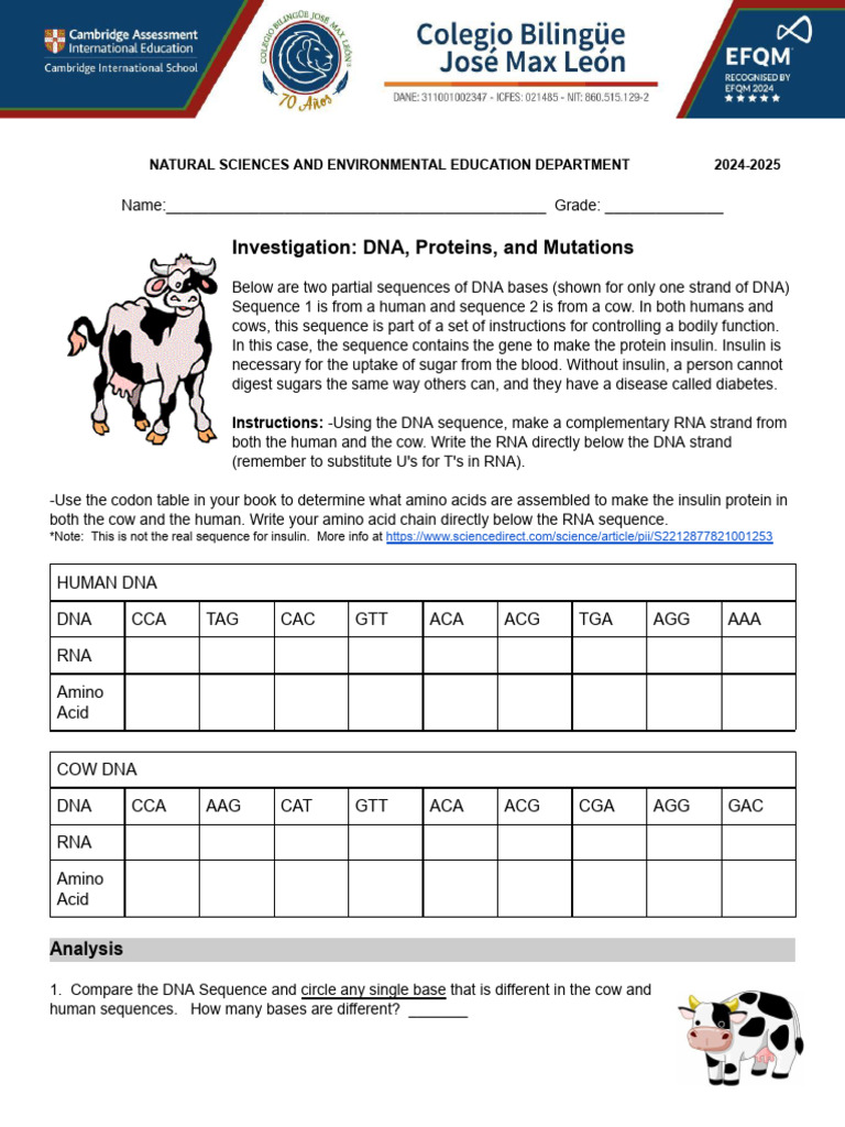 Workshop+ +investigation +DNA,+Proteins,+and+Mutations | PDF | Nucleic ...