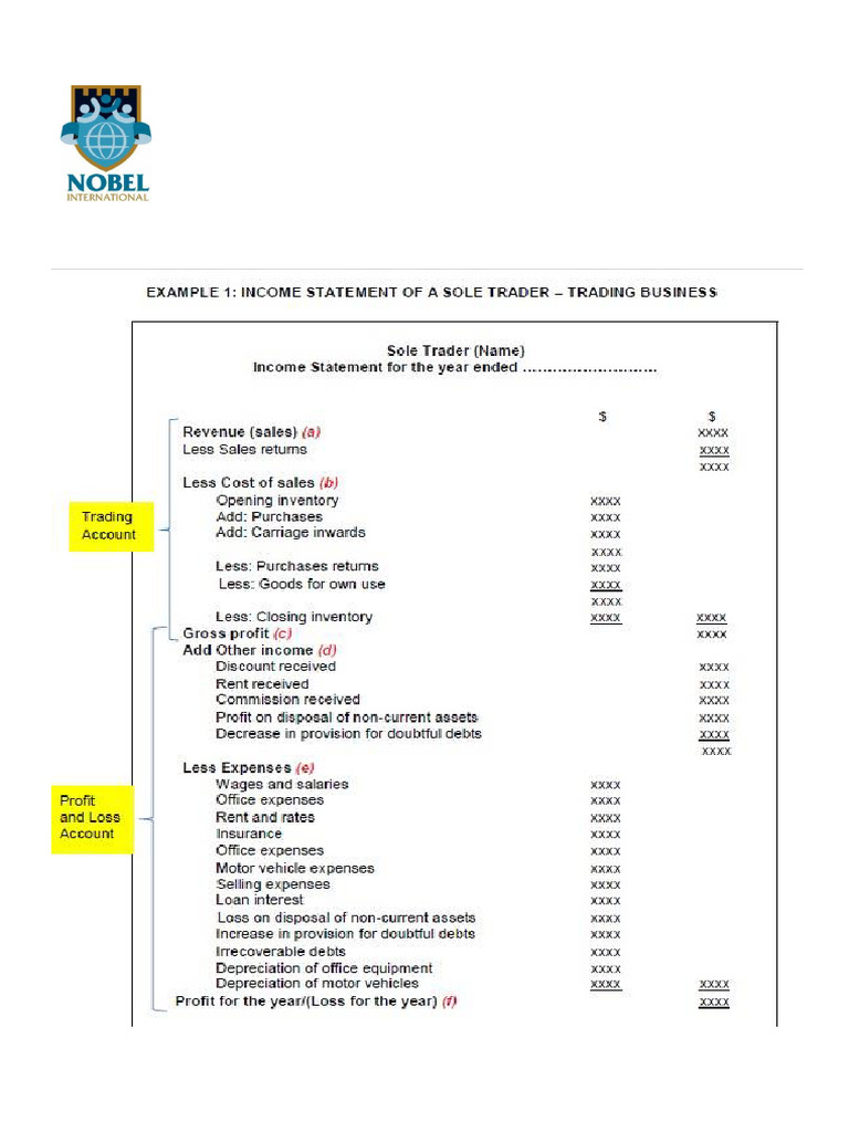 Standard Format For Financial Statements | PDF